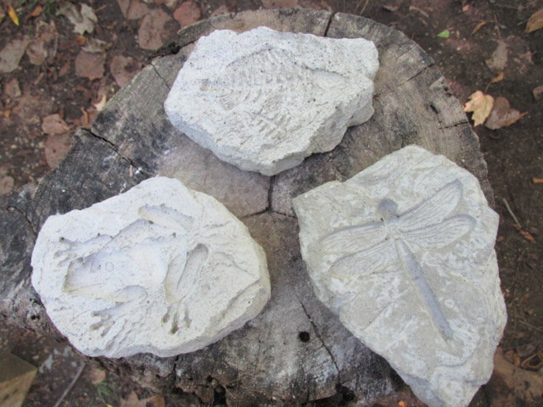 4 1/2" Long Cement Fossil Set of 3 Garden Concrete Statue Dragonfly ...