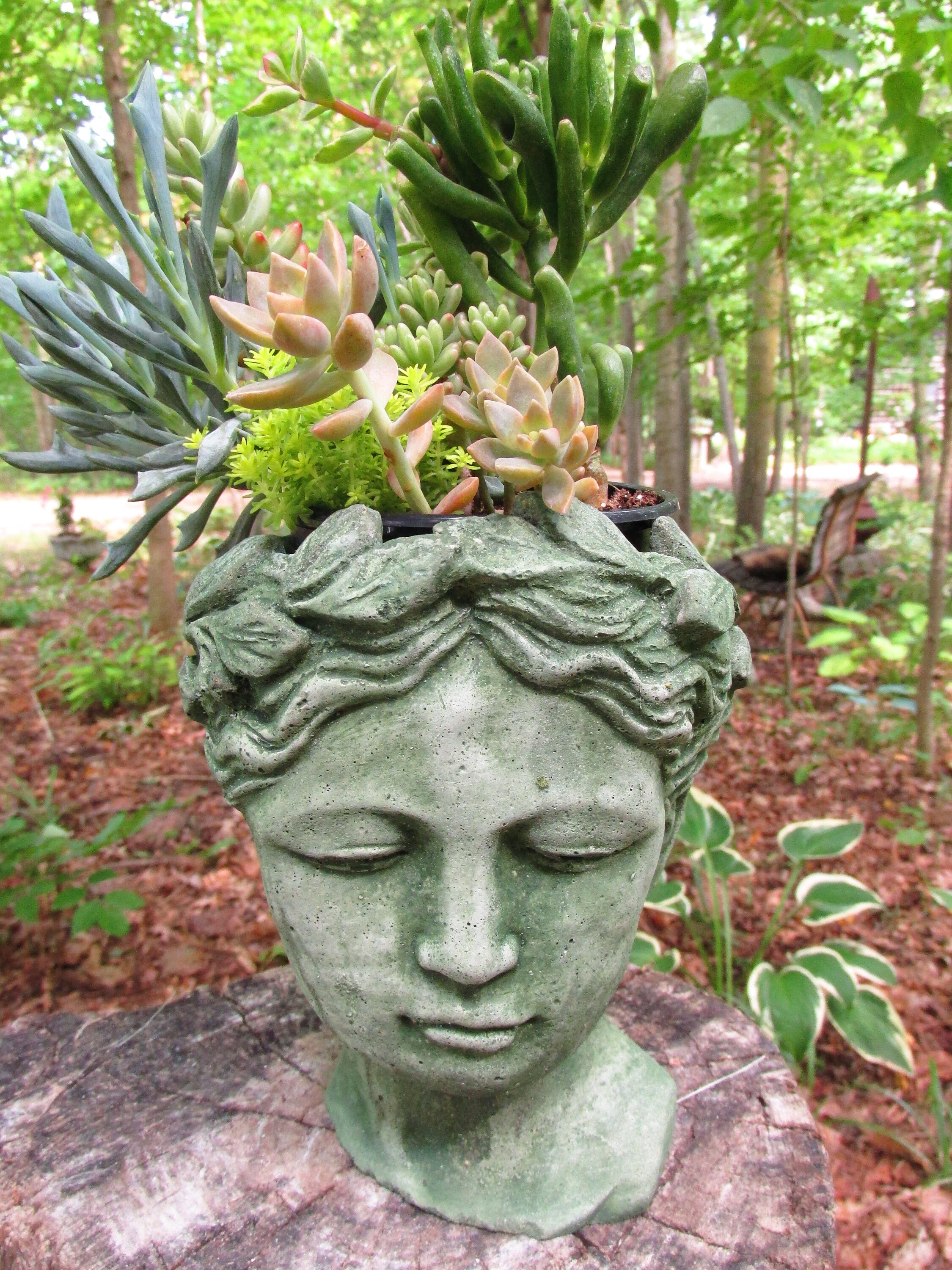 8 1/2 Tall Classic Head Planter Garden Cement Concrete | Etsy