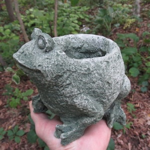 5 1/2" Cement Frog Planter With a Green Patina Made of Concrete for a ...