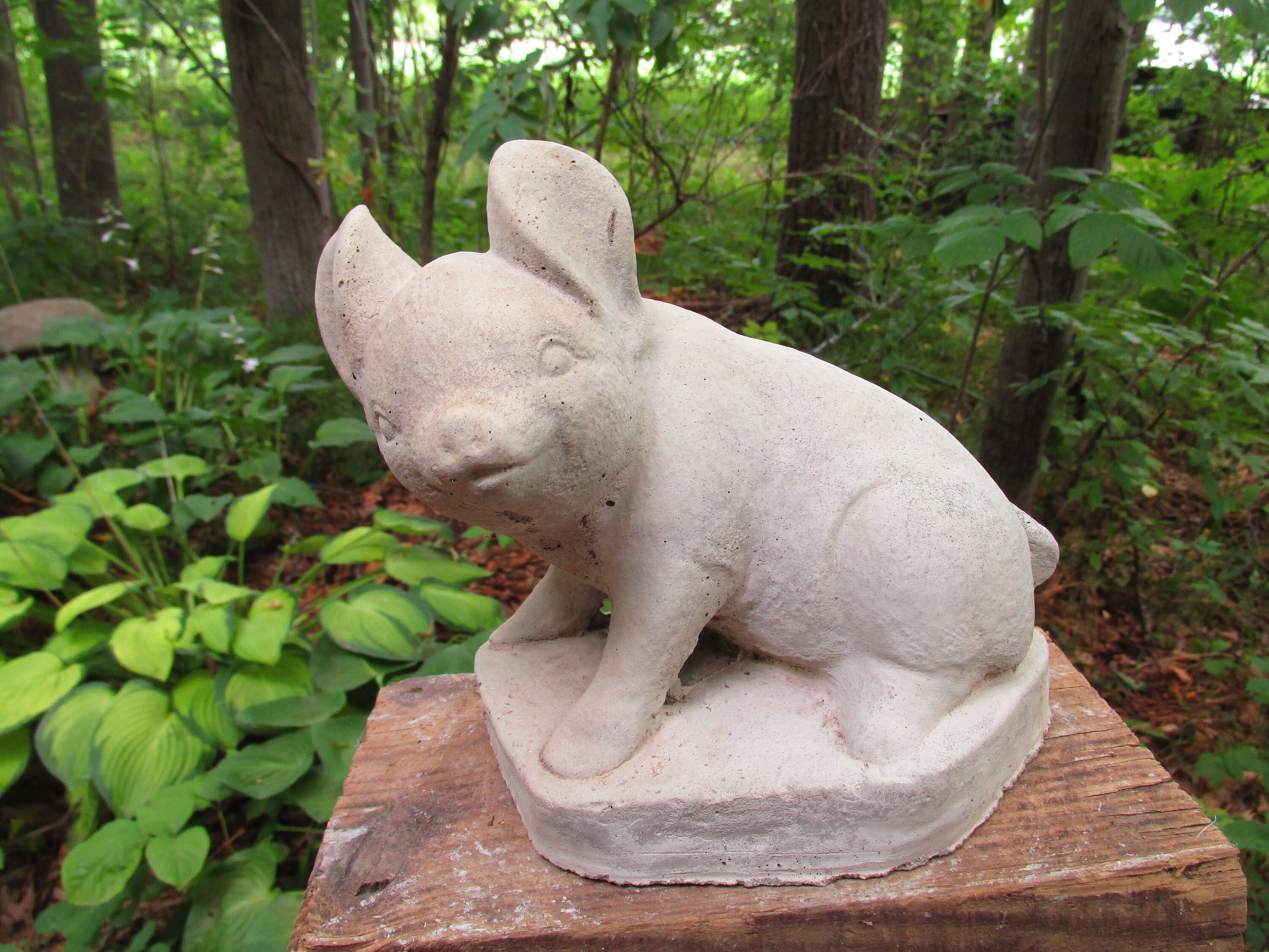 7 Cement Sitting Pig Piggy Garden Art Concrete Statue - Etsy