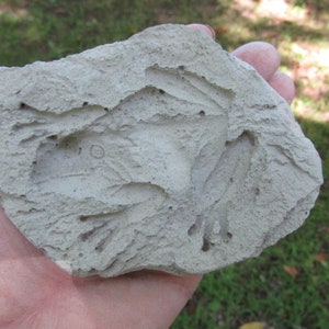 4 1/2" Long Cement Fossil Set of 3 Garden Concrete Statue Dragonfly ...