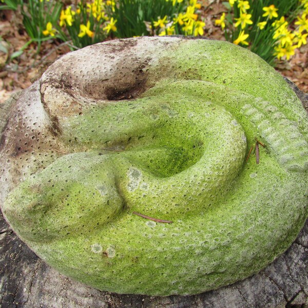 Concrete Snake - Etsy