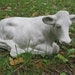 18 Cement Resting Cow Garden Art Concrete Statue Very - Etsy