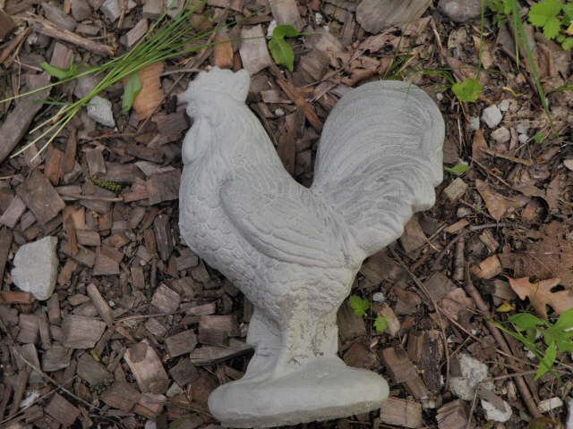 10" Tall Cement Rooster Chicken Garden Art Statue Concrete Farm Animal ...