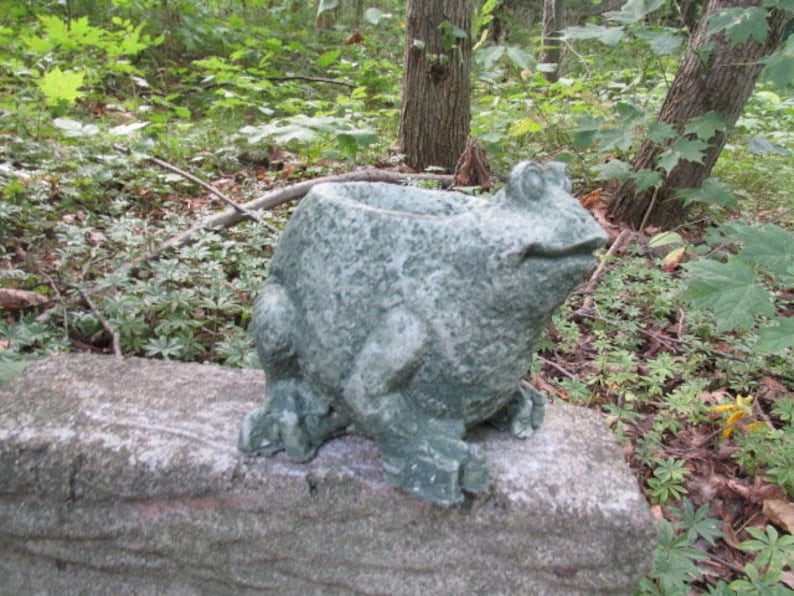 5 1/2" Cement Frog Planter With a Green Patina Made of Concrete for a ...