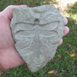 4 1/2" Long Cement Fossil Set of 3 Garden Concrete Statue Dragonfly ...
