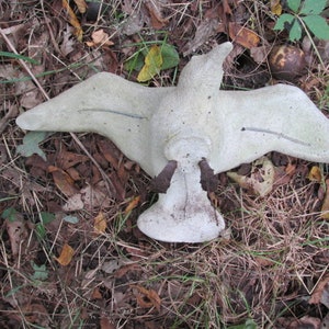 Large Antique 18" Cement Seagull Bird Weathered Concrete Garden Art ...