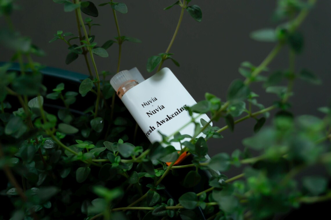 Fresh Awakening Perfume – Persimmon, Clary Sage, Lavender & Musk ...