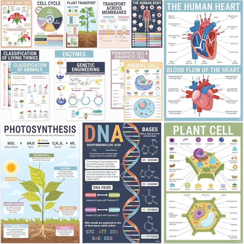 Biology Poster - Etsy