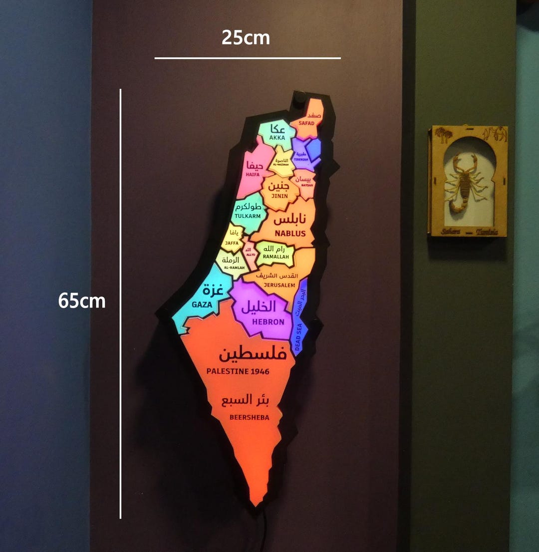 Palestine 3D Printed LED Map Wall Art – 231 Leds – 17 Regions – 65x25cm ...