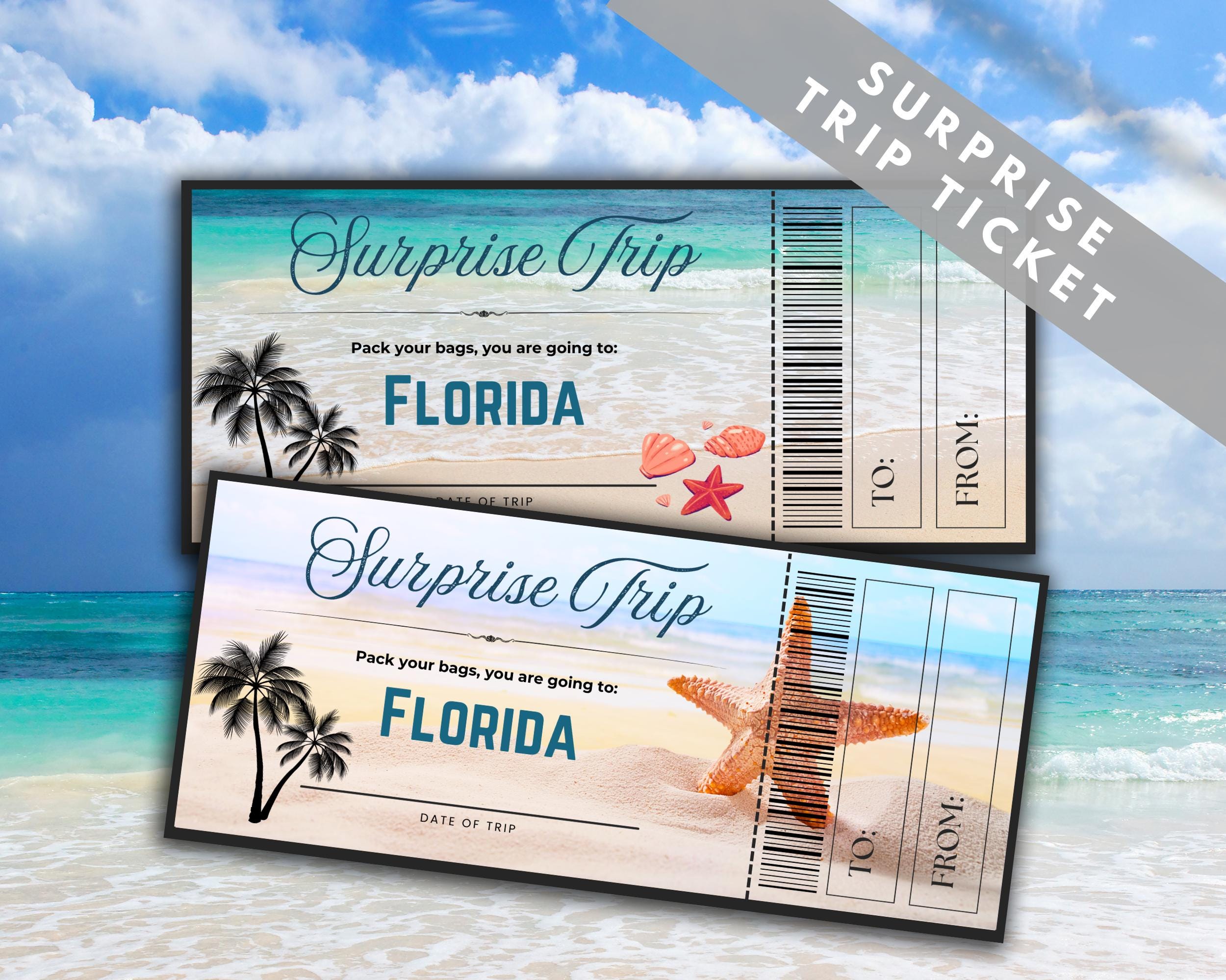 Printable Surprise Trip Ticket to Florida, Fake Boarding Coupon Pass ...
