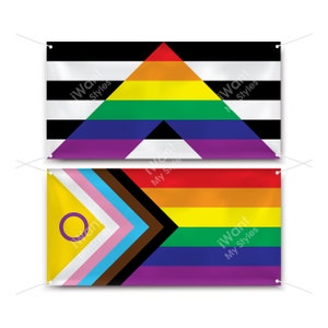 LGBTQ Allie Flag and Progress Pride Flag Banner, Vinyl Banner, LGBTQIA+ ...