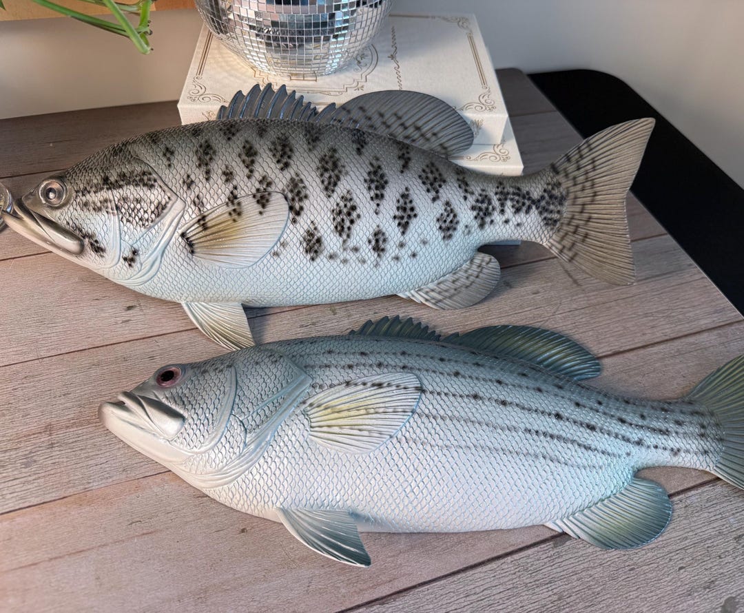 Vintage Largemouth & Striped Bass Wall Plaques | Fishing Cabin Decor - Etsy