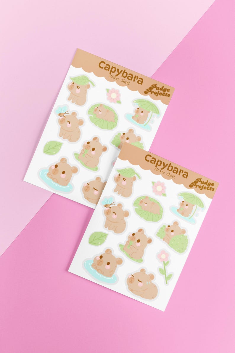 Capybara Sticker Sheet - Etsy