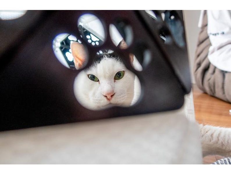 Cat House – 3D Print STL File - Etsy Canada