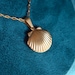 Shell Locket Necklace, Seashell Locket, Real Opening Locket, Mermaids ...