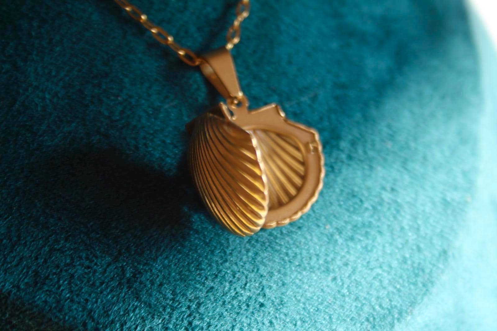 Shell Locket Necklace, Seashell Locket, Real Opening Locket, Mermaids ...