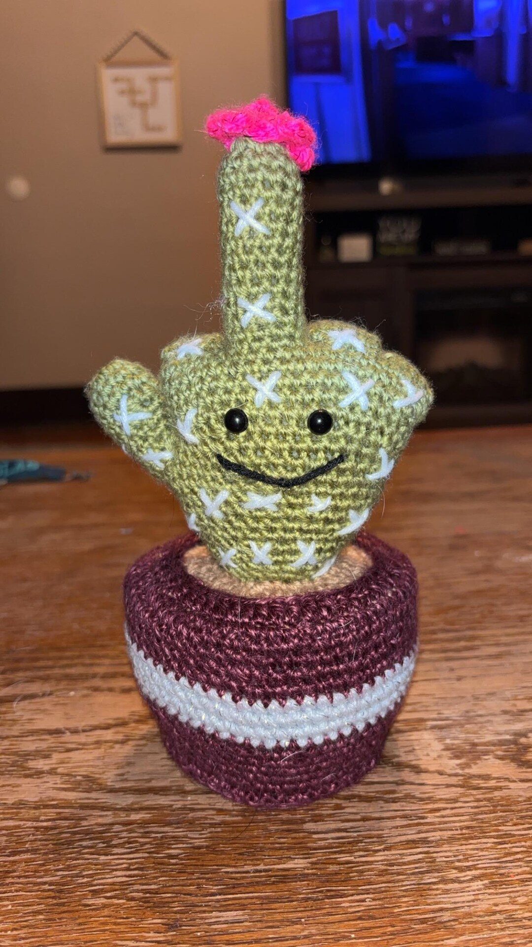 Middle Finger Cactus - Etsy