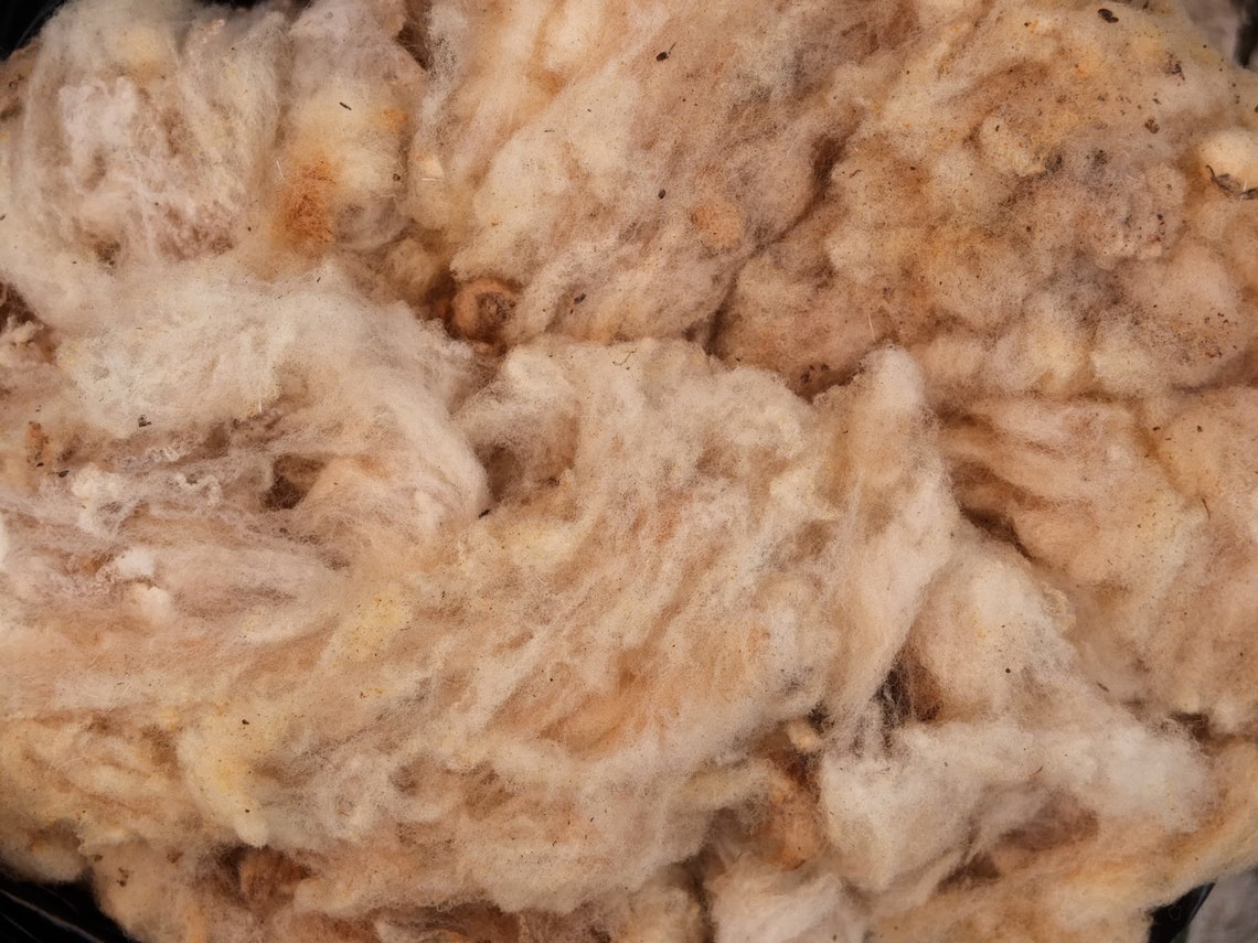 Red Burel by the Meter Portuguese Boiled Wool Fabric Works | Etsy