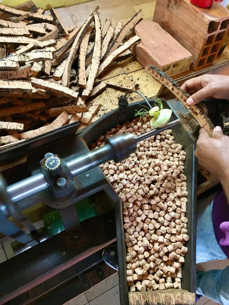 Cork Cylinders, 12mm (1/2"), Cork Tubes, No Hole. Perfect for Organic ...
