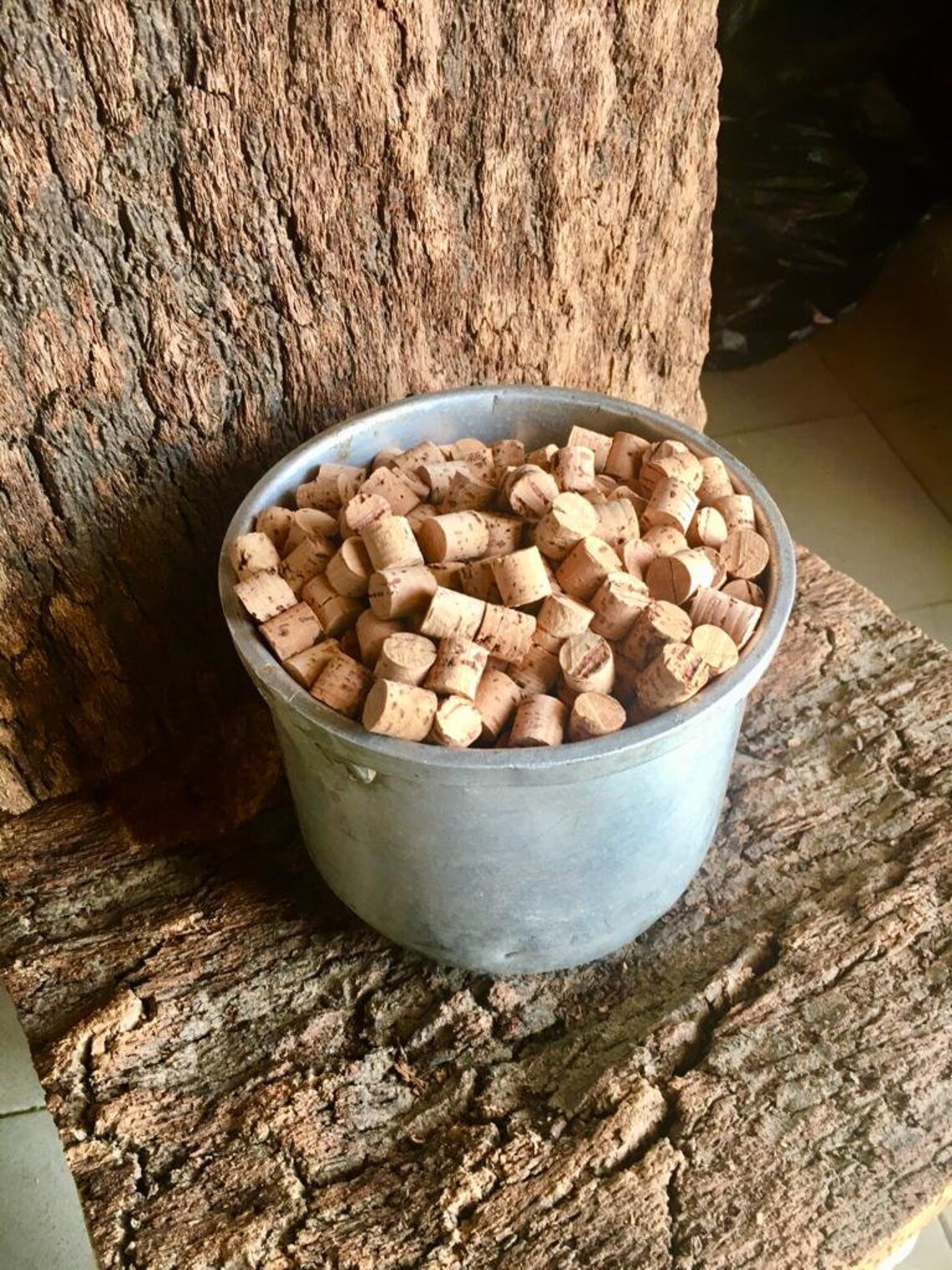 Cork Cylinders, 12mm (1/2"), Cork Tubes, No Hole. Perfect for Organic ...