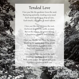 Love and Longing Poetry Bundle - Etsy