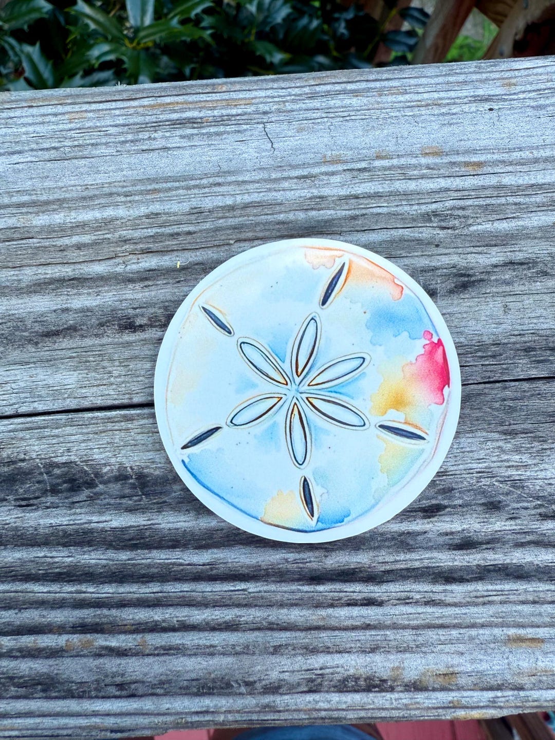 Watercolor Sand Dollar Sticker: Charleston Beach Waterproof Decal - Etsy