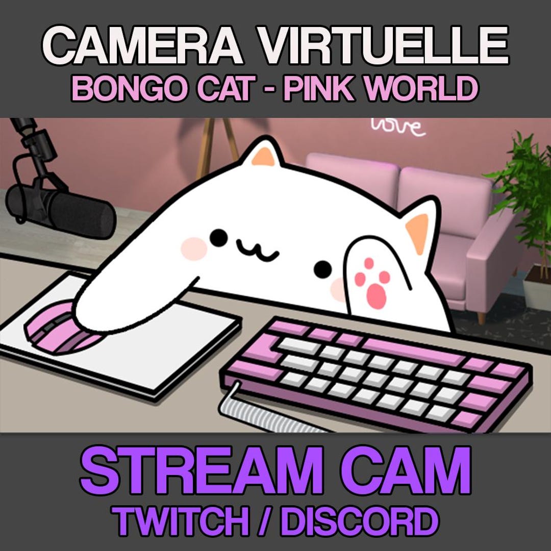 Bongocat Pink World Customizable Virtual Camera for Twitch & Discord ...