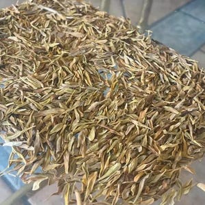 Combo 10 Seeds Loroco Plant Seeds and 30 Seeds Chipilin Seeds - Etsy