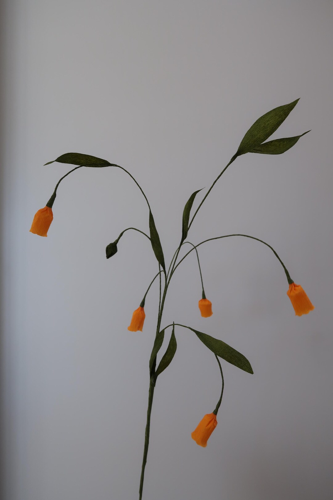 Paper Sandersonia | Individual Handmade Sandersonia/bellflower, Made of ...