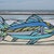 STAINED GLASS PATTERN, Sandpiper Stained Glass Pattern, Digital ...