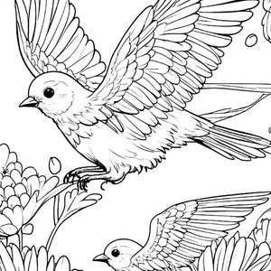 50 feuilles de coloriages d'oiseaux mignons à imprimer - Amusant et ...