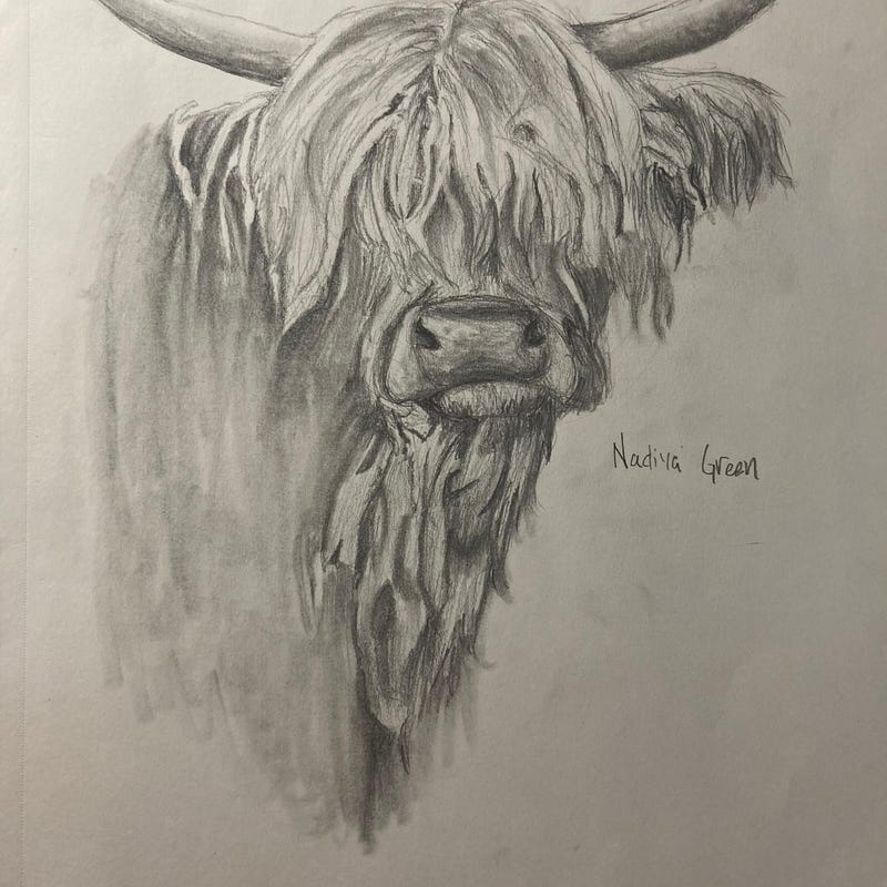 Custom Drawing - Etsy