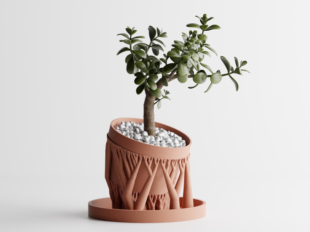 Tilted Organic Planter: Modern Eco-friendly Home Decor - Etsy