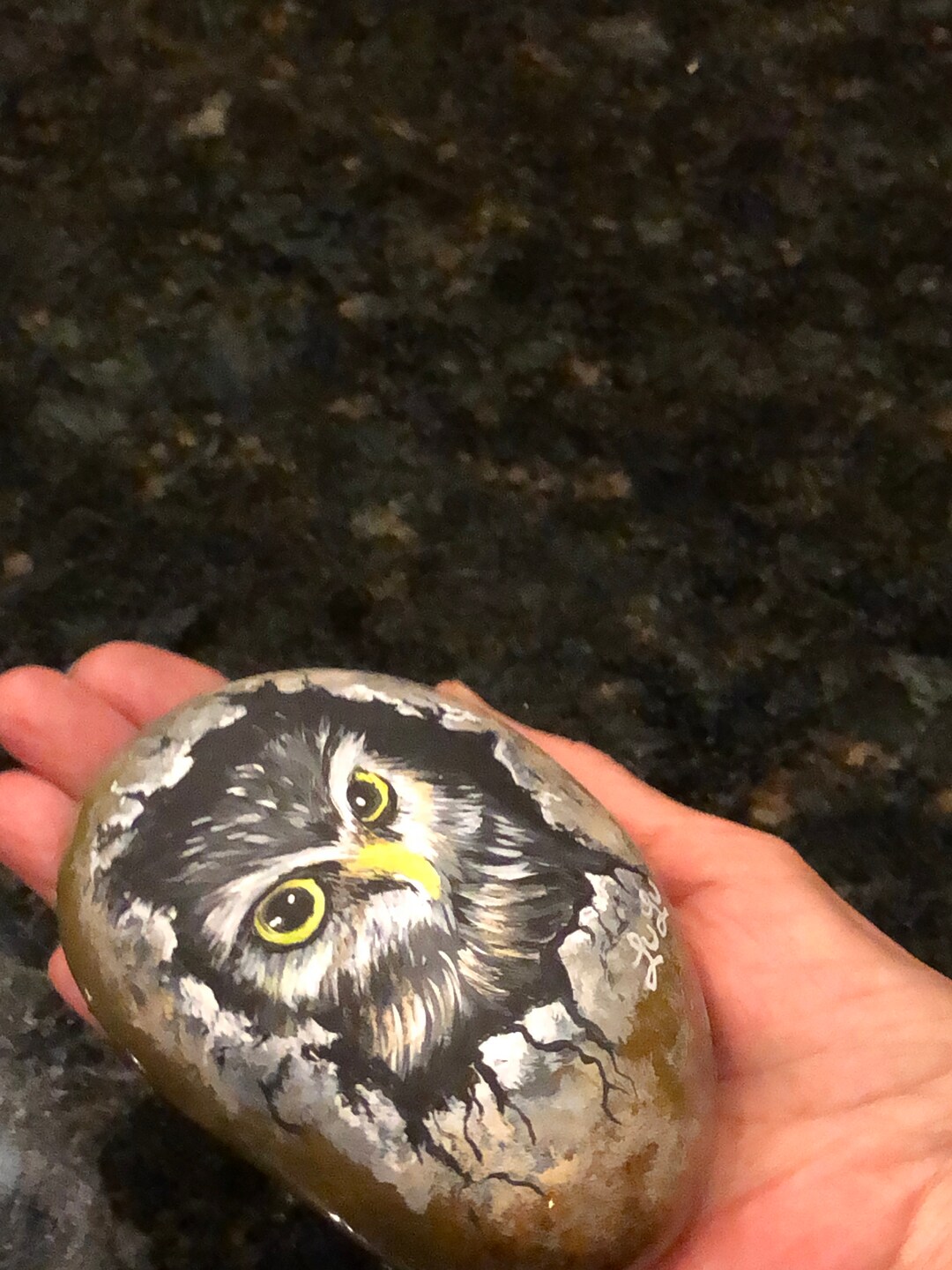 Custom Painted River Rocks - Etsy
