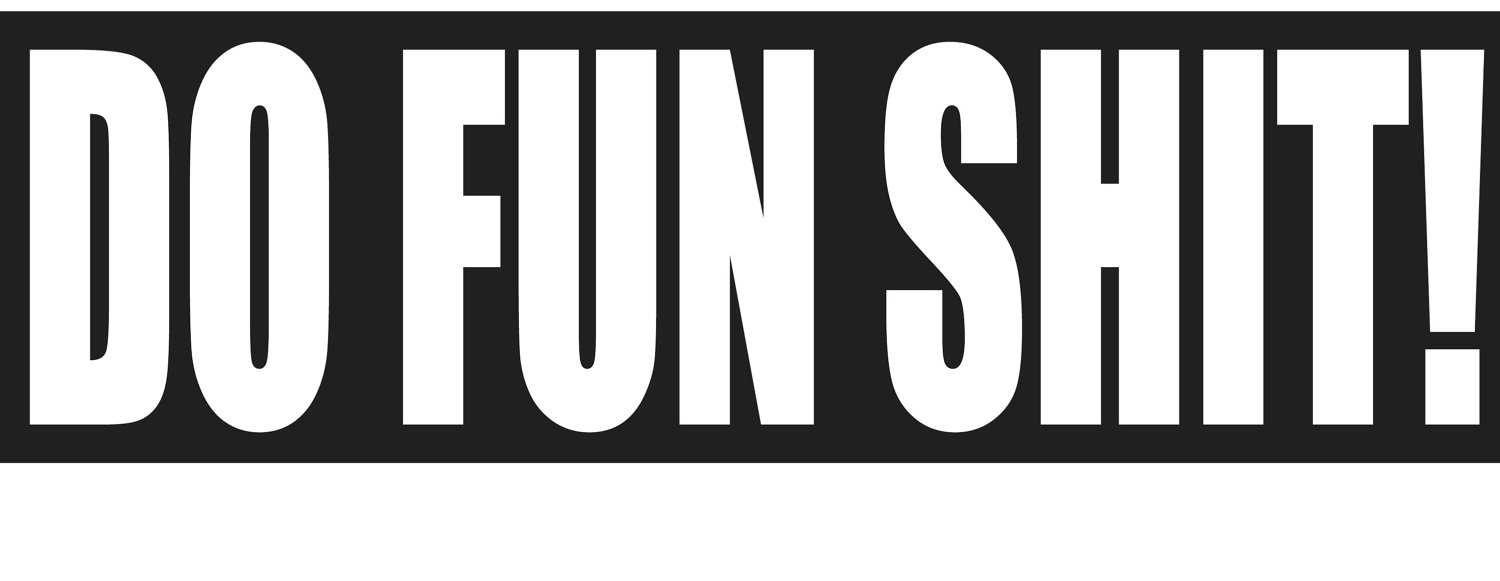 Do Fun Shit Bumper Sticker Shit Sticker - Etsy