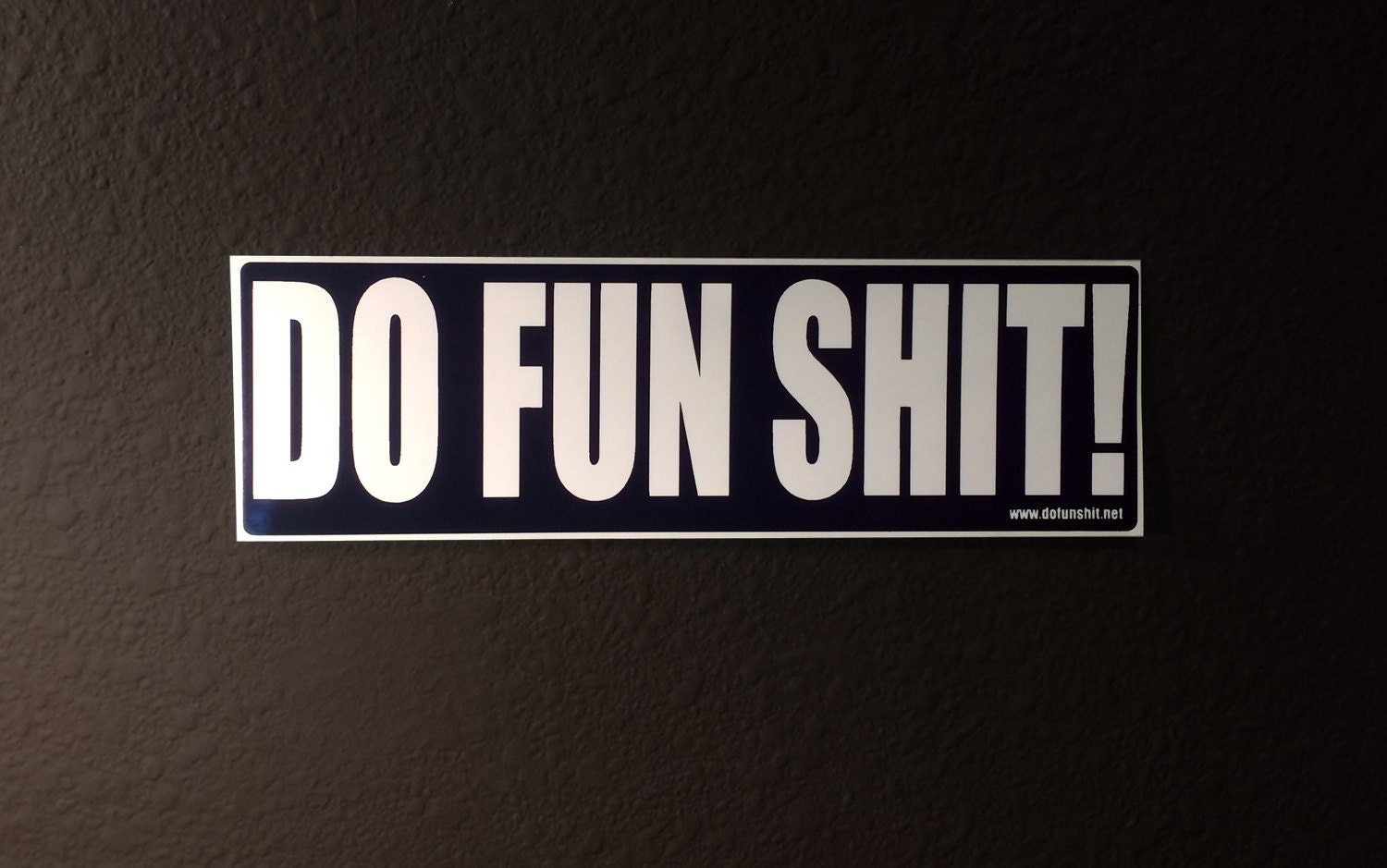 Do Fun Shit Bumper Sticker | Shit Sticker - Etsy