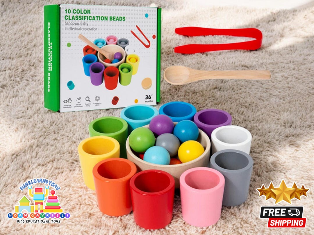 Montessori Sorting Toy | Wooden Color Matching Set | Cognitive Learning ...