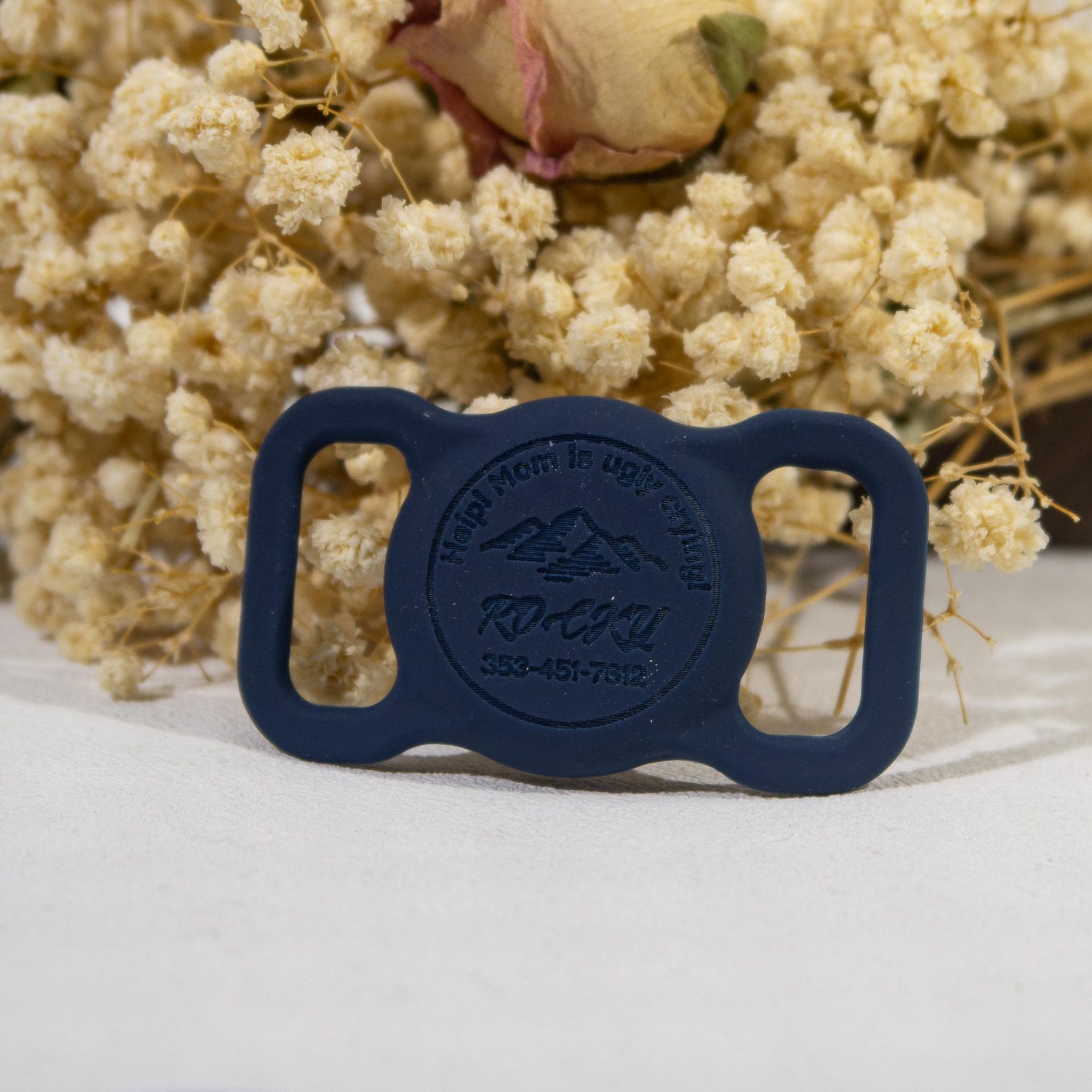Pet AirTag Collar Holder, Custom Engraved Air Tag Case for Dog Cat ...