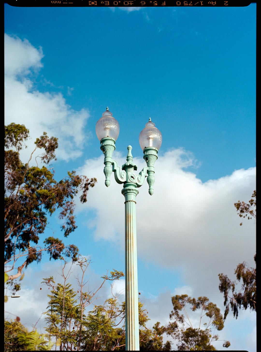 Double Lamp Post – Medium Format Film Photography on Kodak Ektar 100 ...