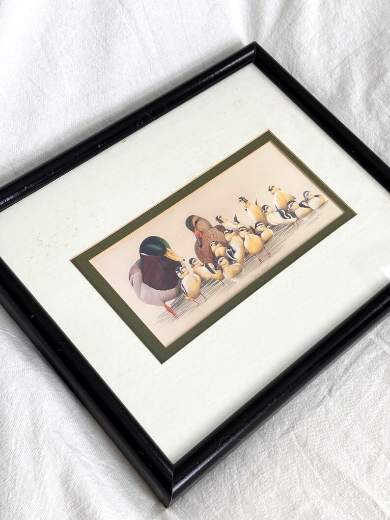 Framed Print “the Kids” by Art Lamay | Duck Family Scene Wall Art ...