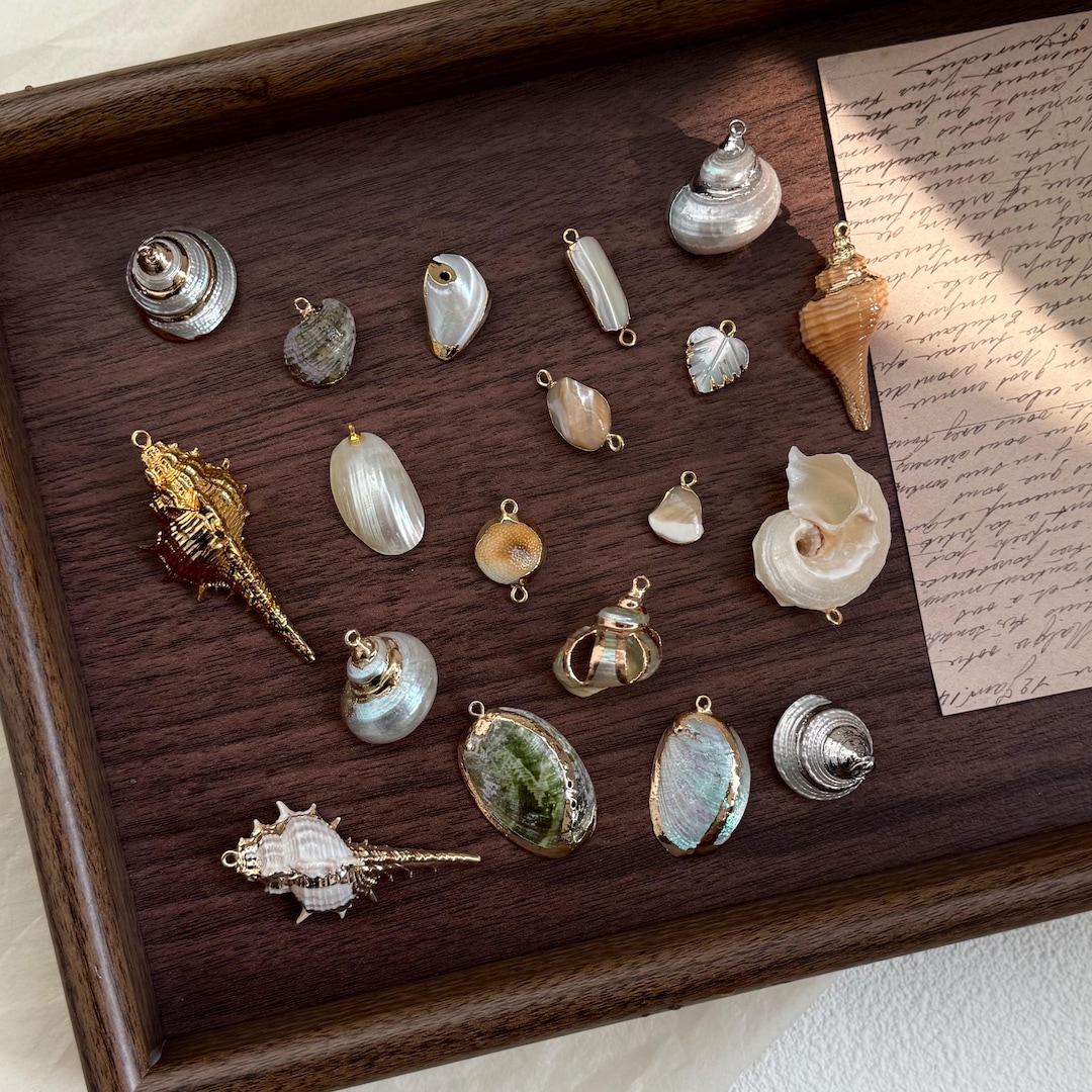 Natural Seashell Conch Pendant Charms for Jewelry Making, Gold Plated ...