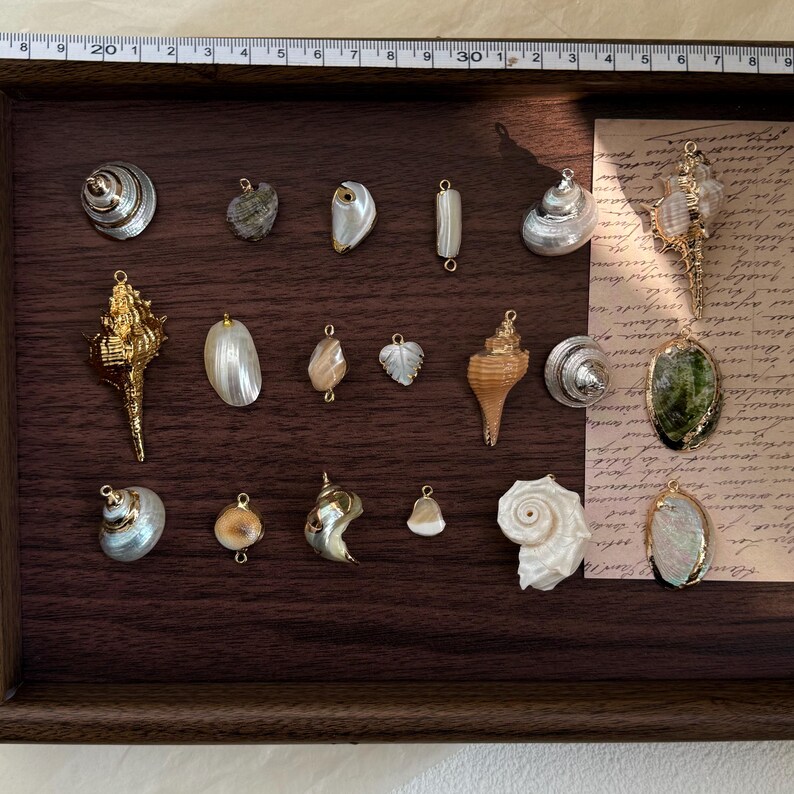 Natural Seashell Conch Pendant Charms for Jewelry Making, Gold Plated ...