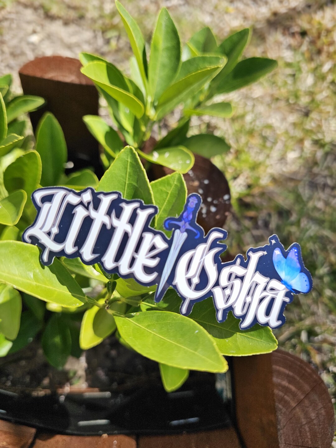 Quicksilver Book Stickers, Little Osha Inspired - Etsy