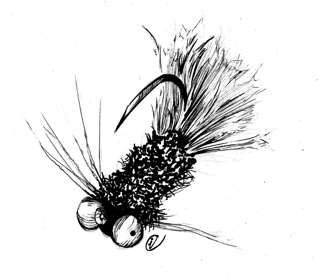 Fly Fishing Made Easy "cheat Sheet" on How to Target Carp Using Fly ...