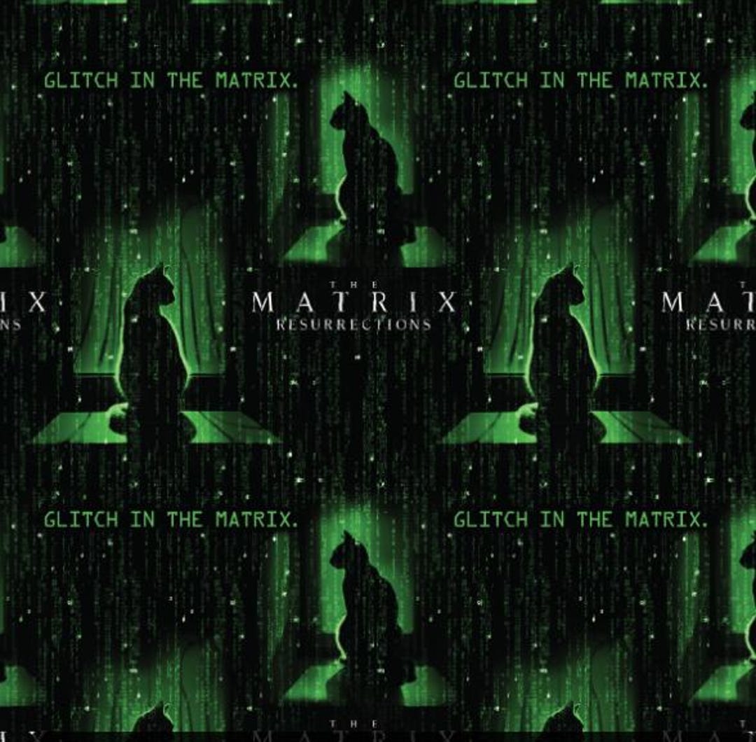 Licensed the Matrix - Matrix Cat in Black Part of the Matrix Line by ...