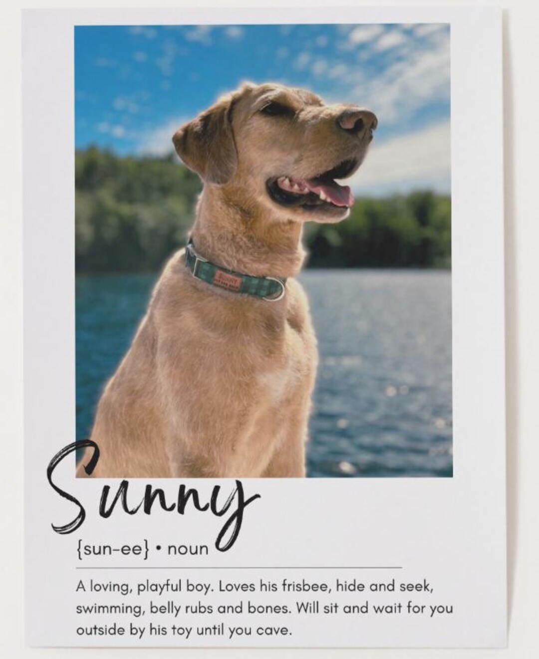 Custom Pet Definition Poster Pet Definition Poster Personalised Pet ...