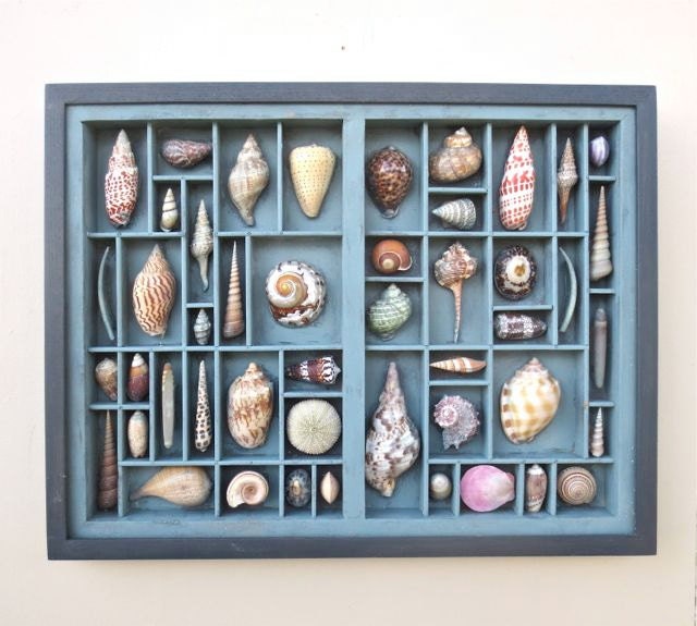 Seashell art seashell collage seashell assemblage mixed