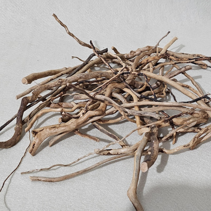 Aquarium Wood Spider - Etsy UK