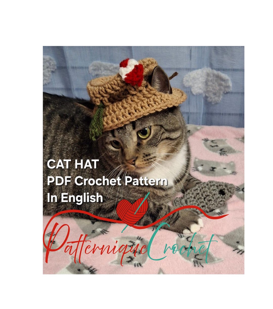 Cute Fishing Cat Hat & Fish Crochet Pattern - Fun DIY Project for Cat ...